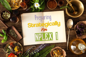 How to Prepare for NPLEX 1 - BoardVitals Blog