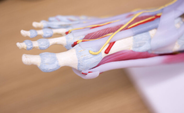 Step Up Your Game with Free APMLE Part 1 Practice Questions