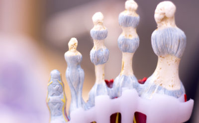 Try Answering These 5 APMLE Part 2 Practice Questions