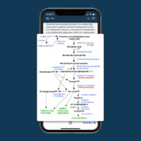 BoardVitals USMLE® Step 1 Question Bank: New Features & Questions